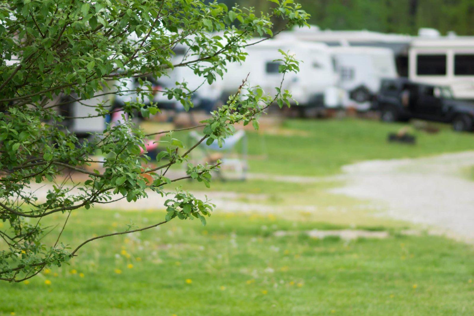 Lodging & Rates – Camp Buckwood